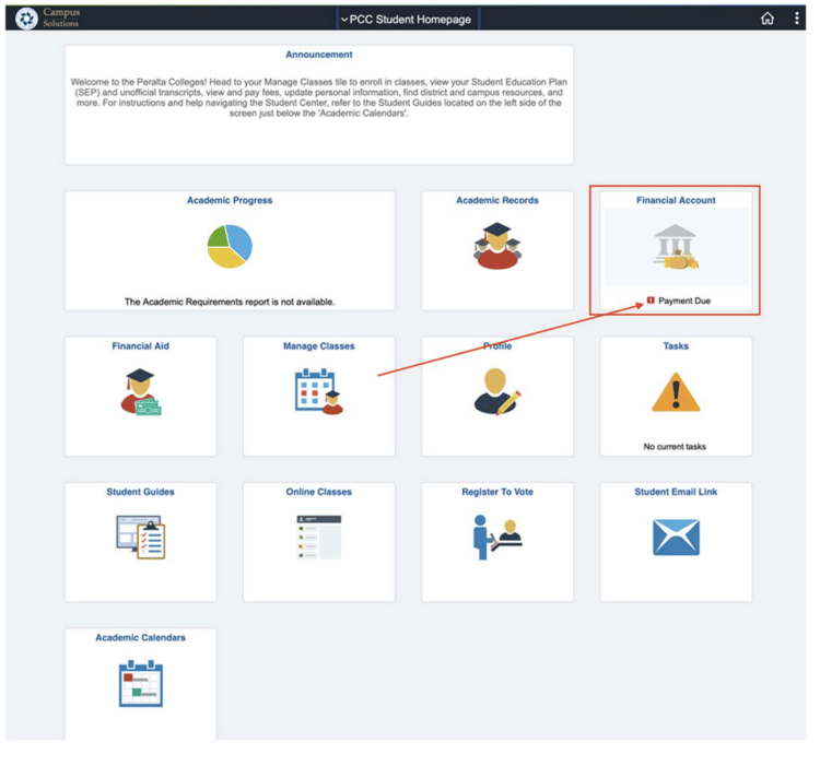 Fees and Making a Payment