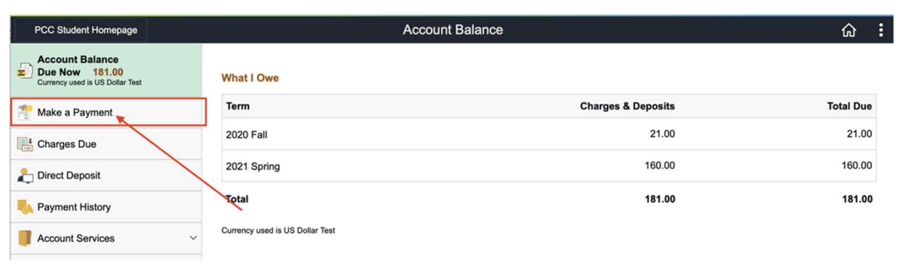 Fees and Making a Payment