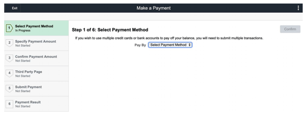 Fees and Making a Payment