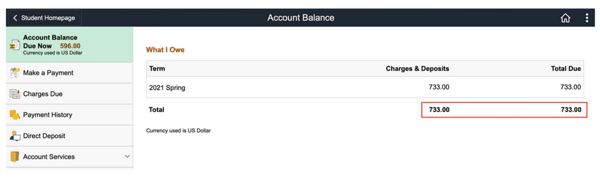 Fees and Making a Payment